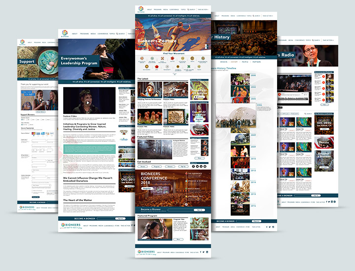 Dennis Shepherd : Design